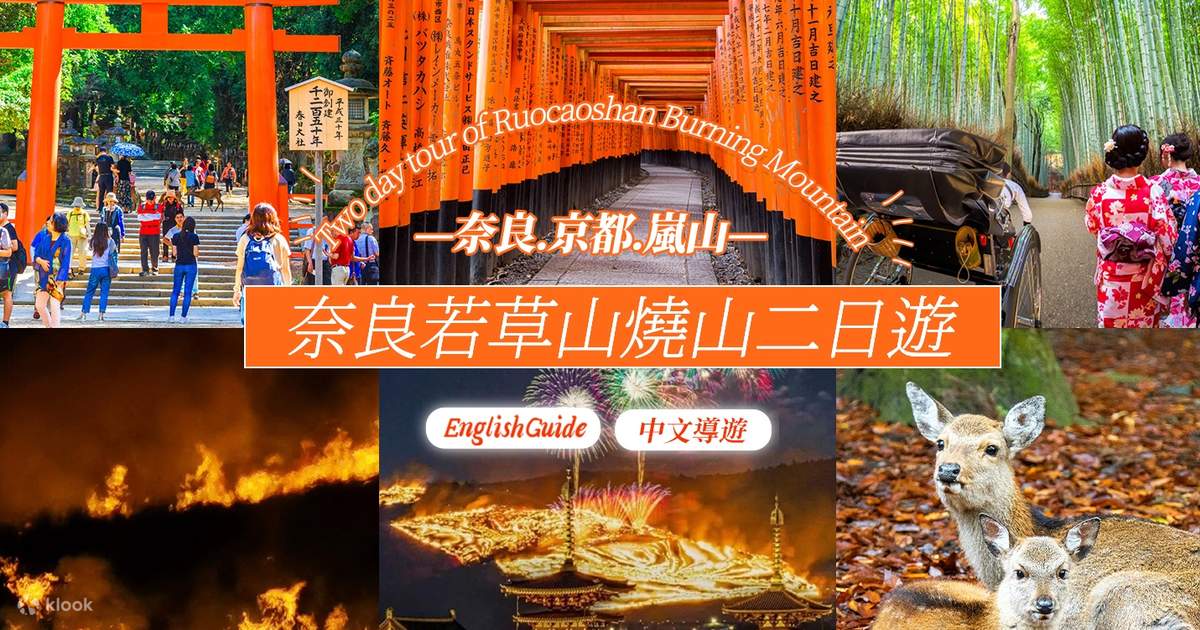 Nara Wakakusa Mountain Burning Festival + Kasuga Taisha Shrine, Nara Park, Fushimi Inari Taisha ...